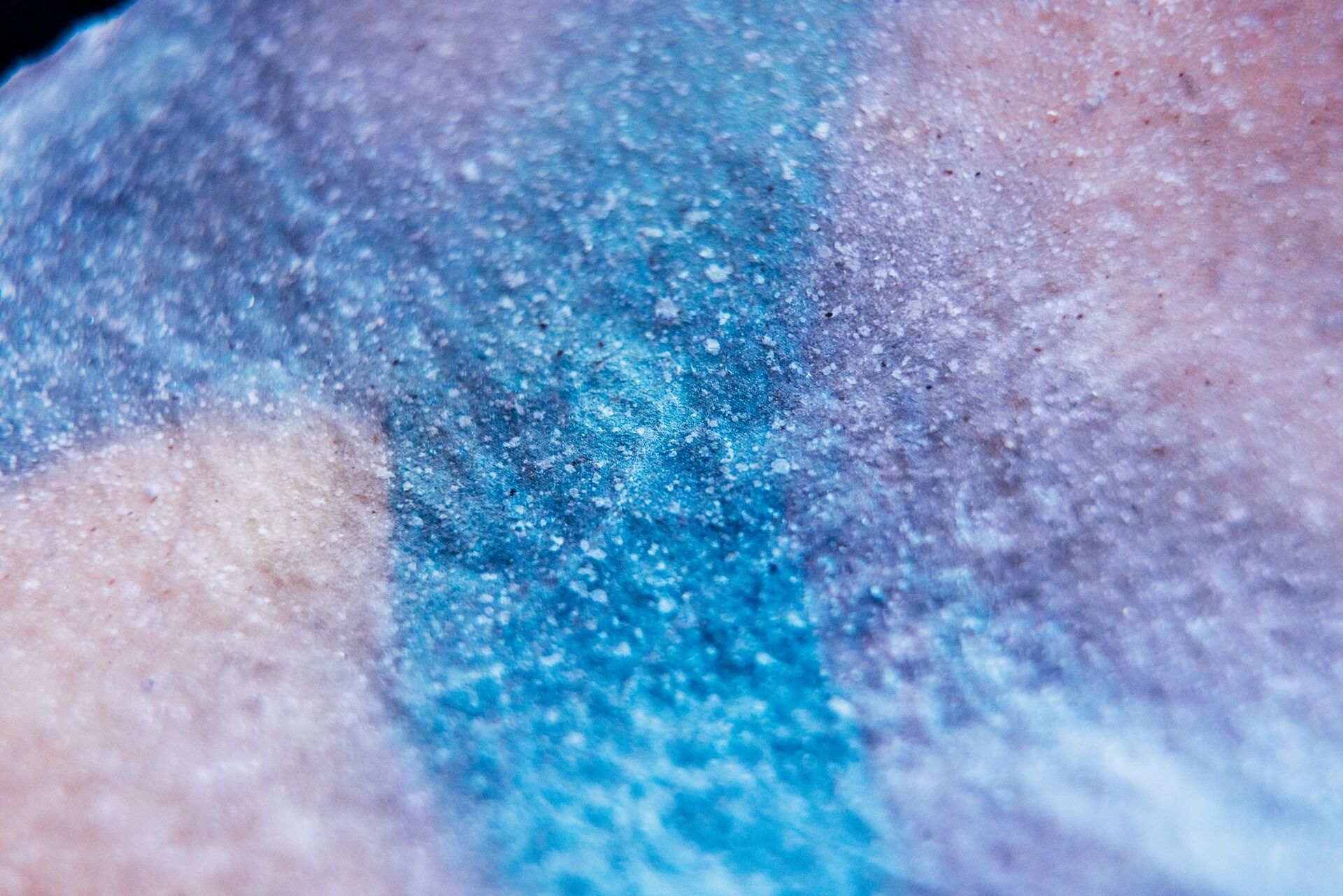 reProLeather – regenerating bio-based leather from leather waste – H&M ...